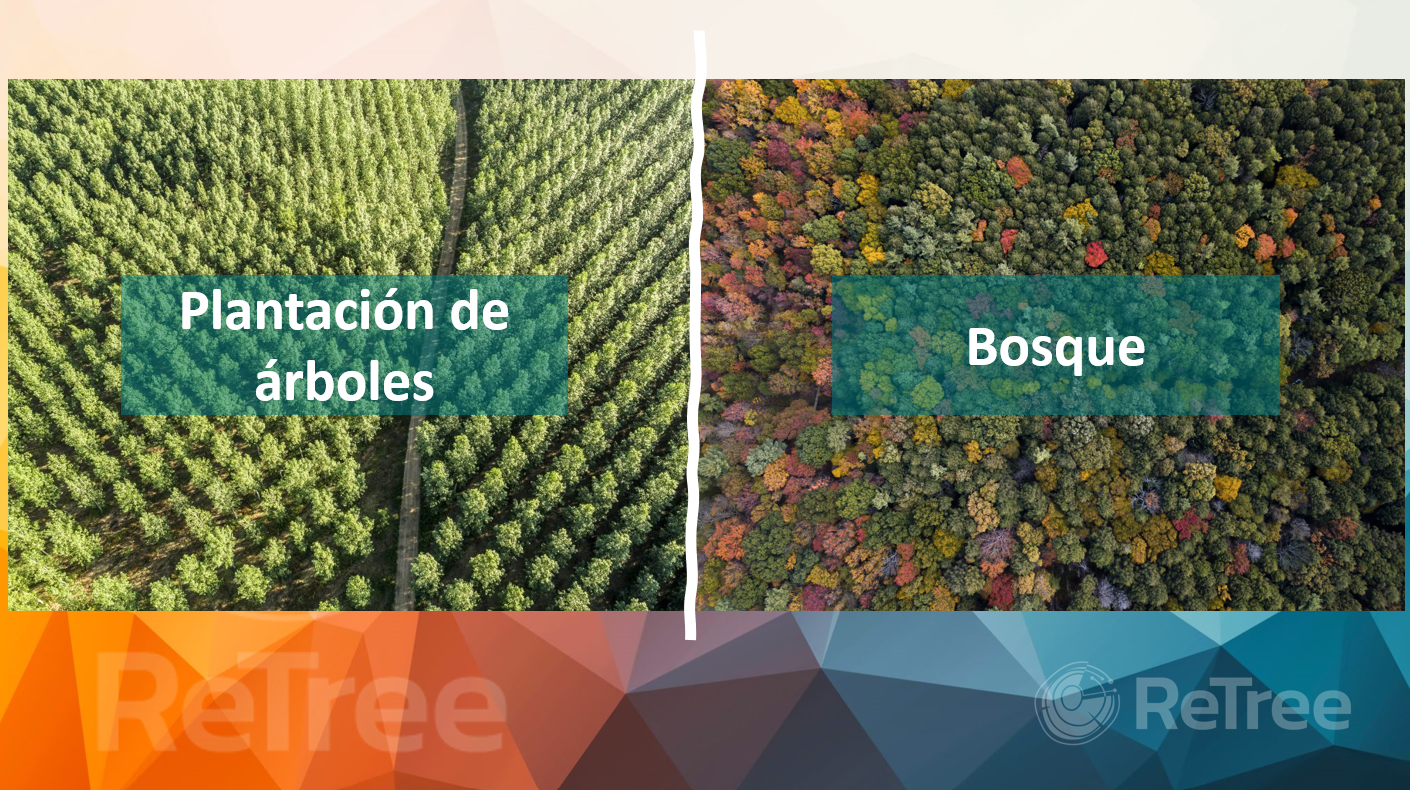 Cómo funciona el Sello MITECO, fases, enlaces...todo - Retree