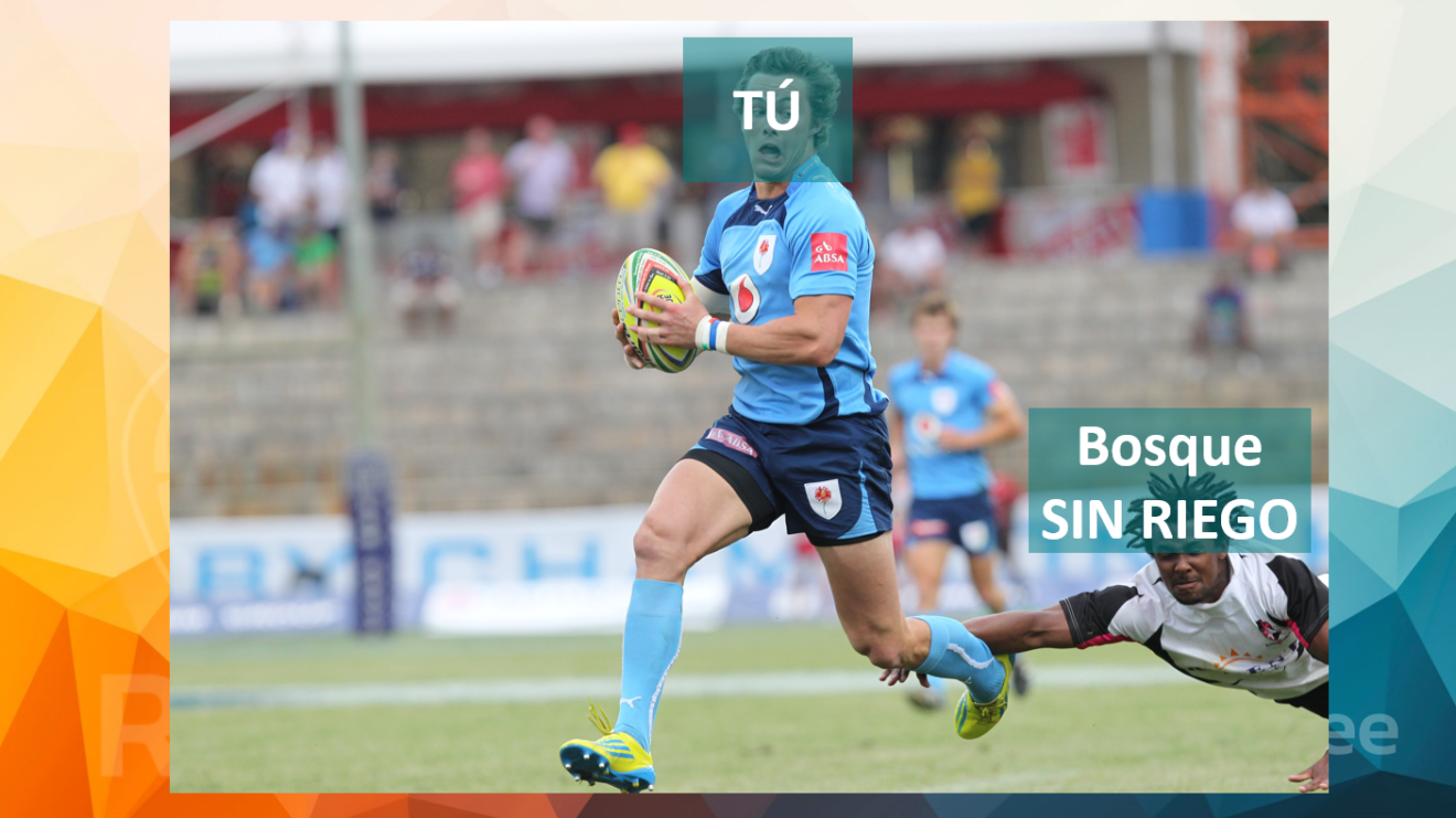 Cómo funciona el Sello MITECO, fases, enlaces...todo - Retree