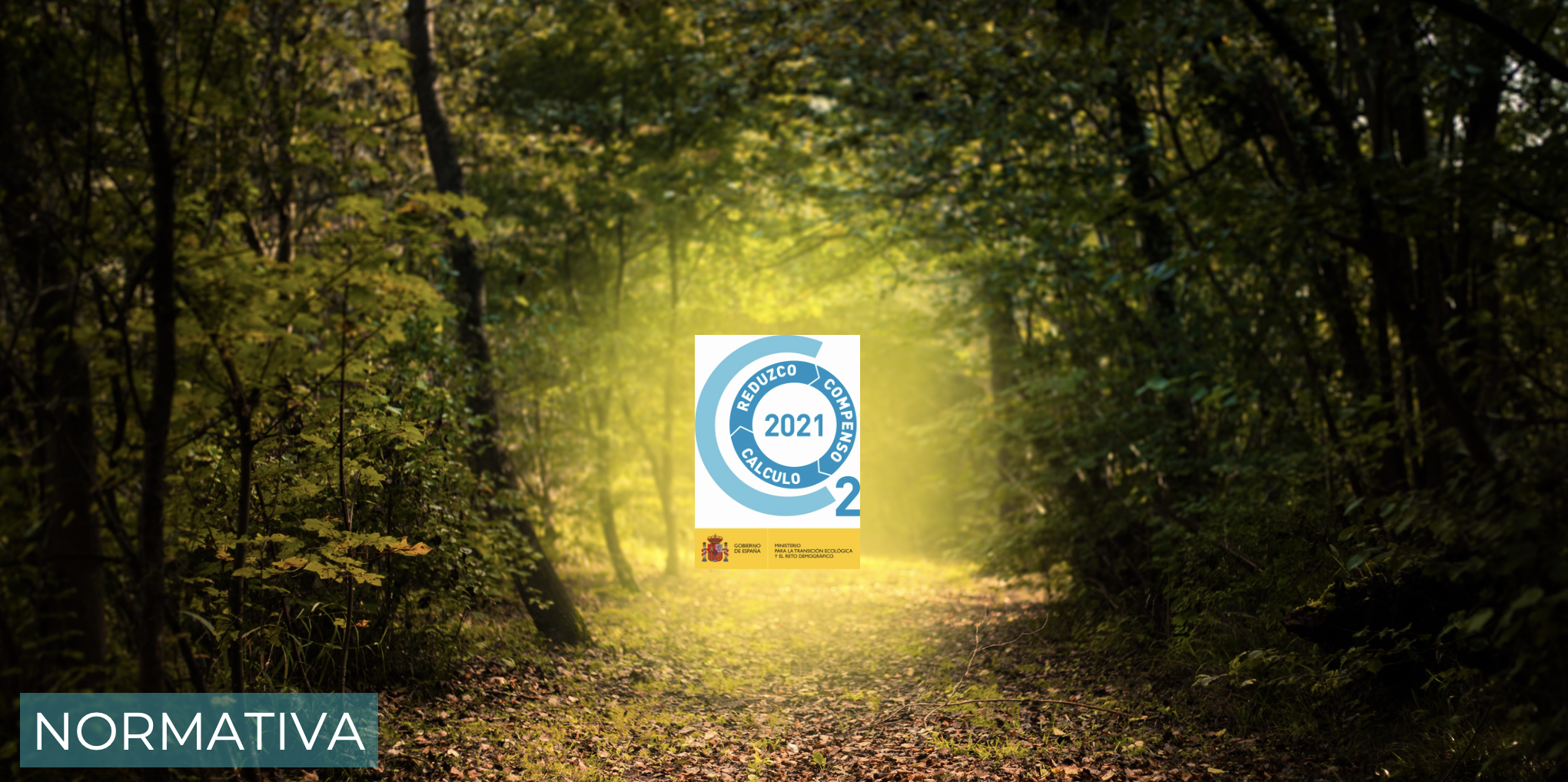 Cómo funciona el Sello MITECO, fases, enlaces...todo - Retree